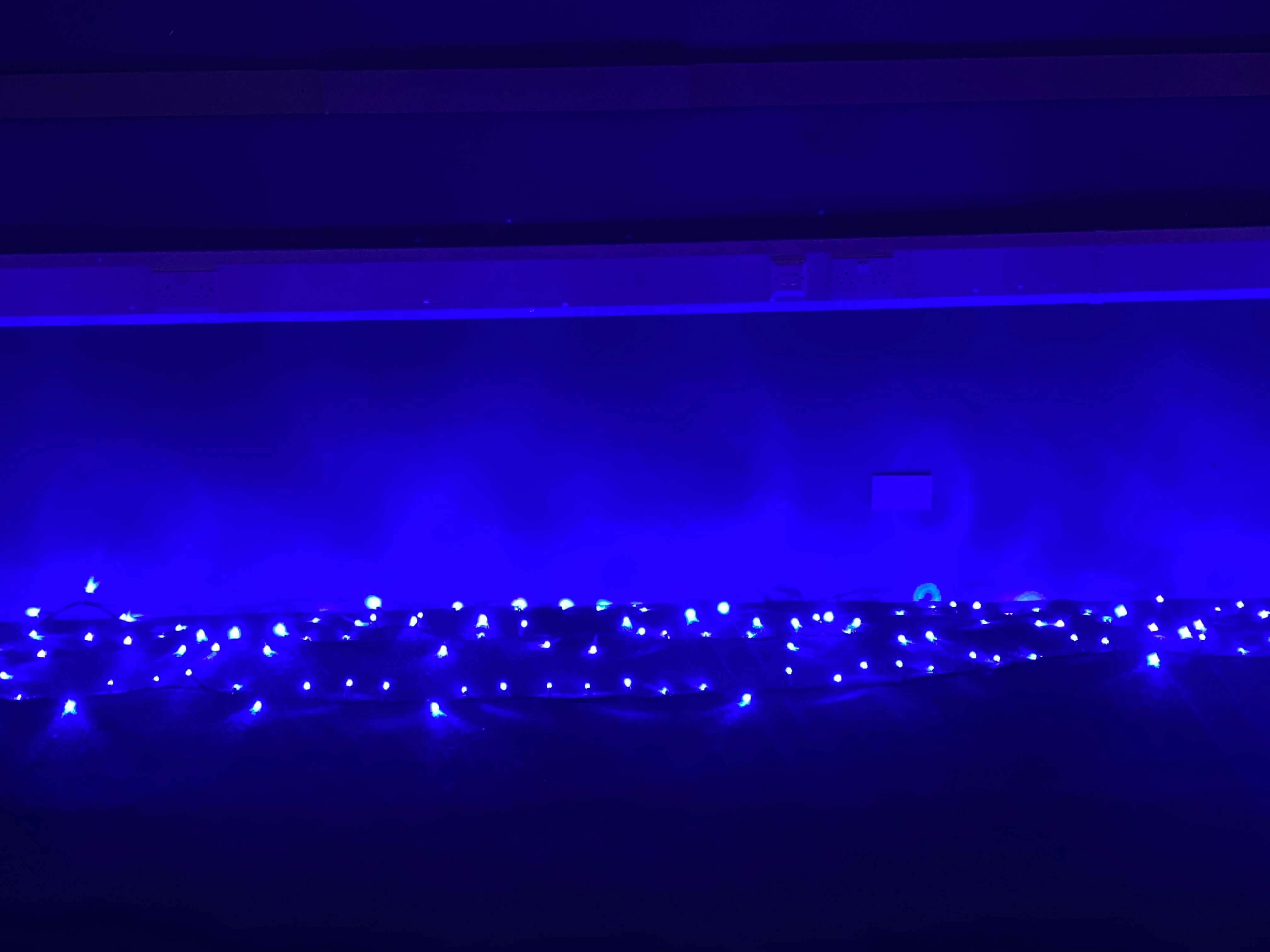 Blue LED String Lights Outdoor